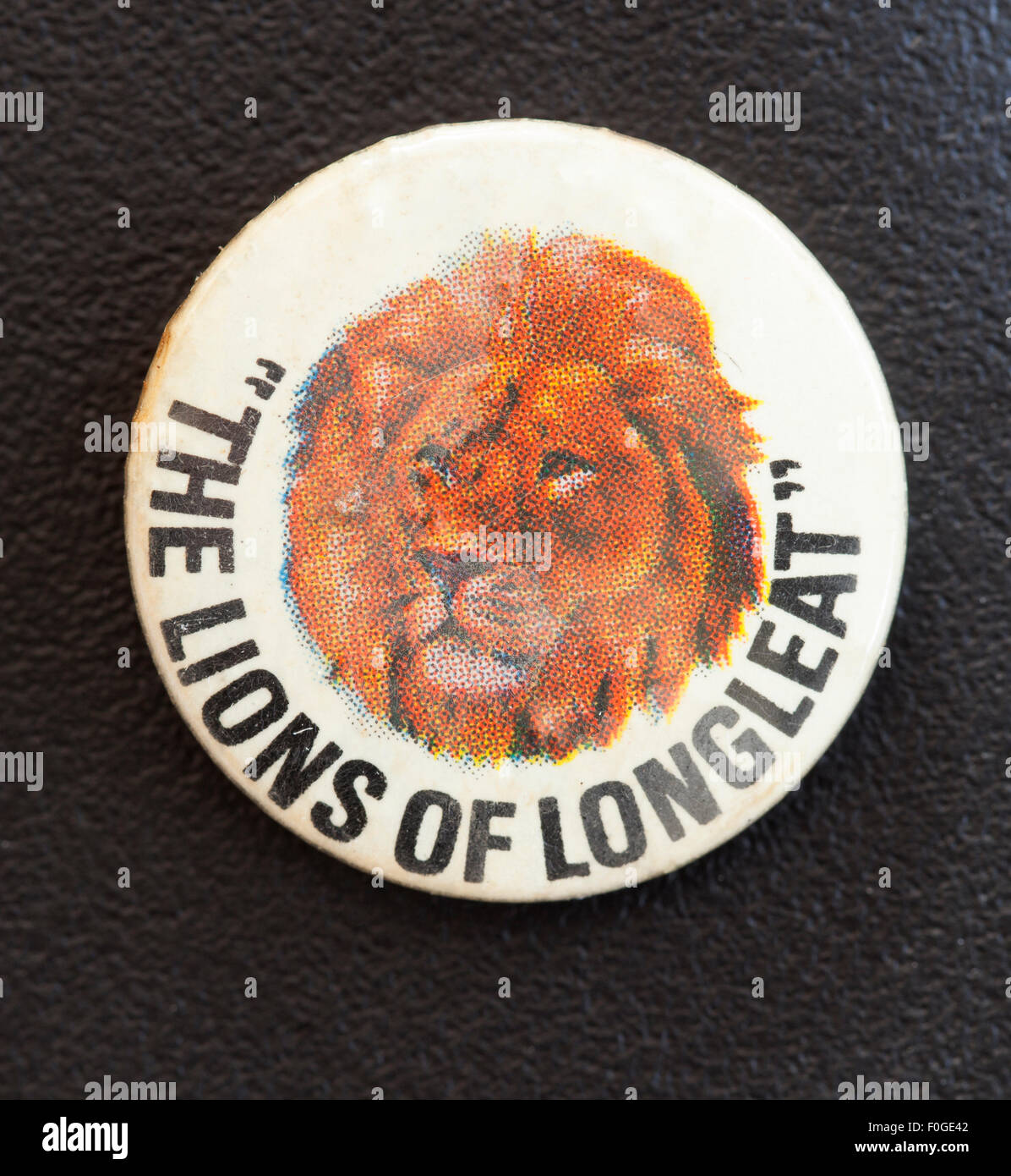 Vintage Pin Button Badge advertising The Lions of Longleat Stock Photo ...