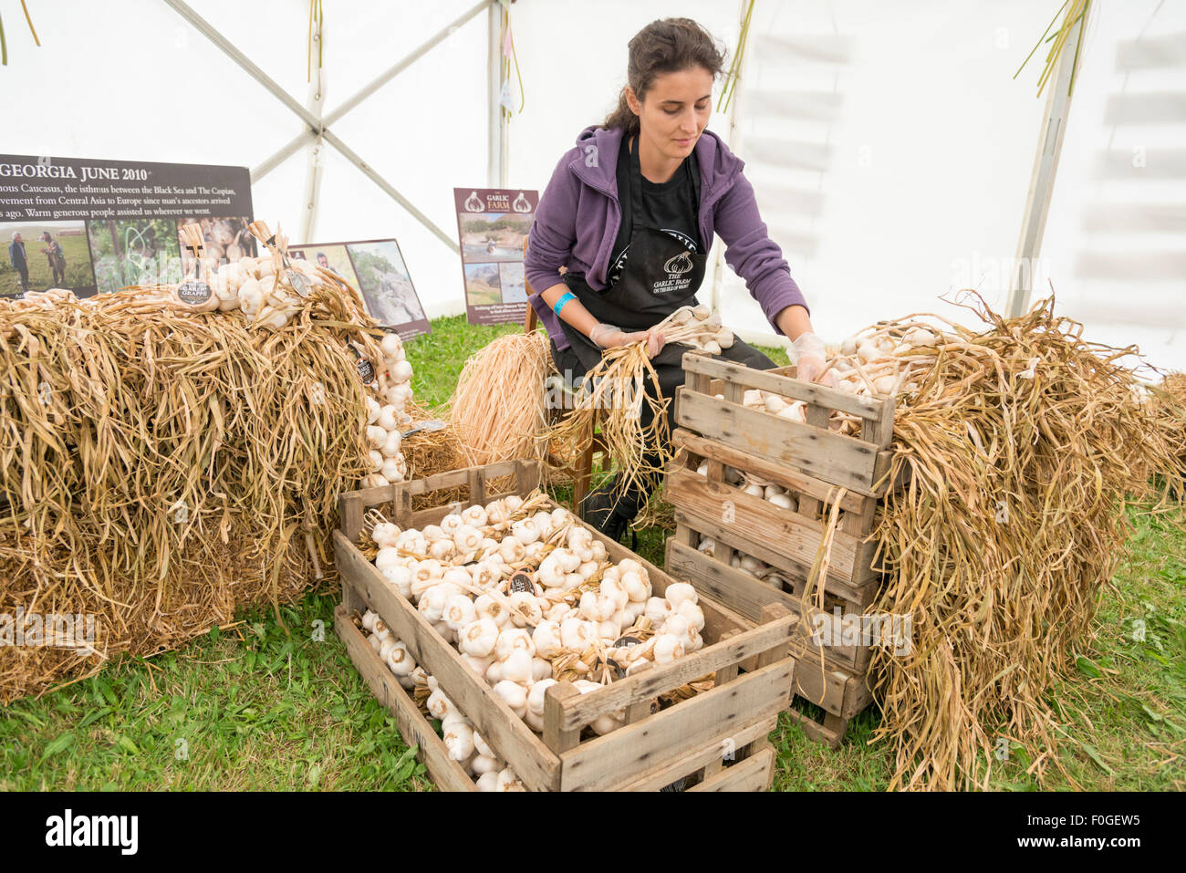 Iow festival hi-res stock photography and images - Alamy