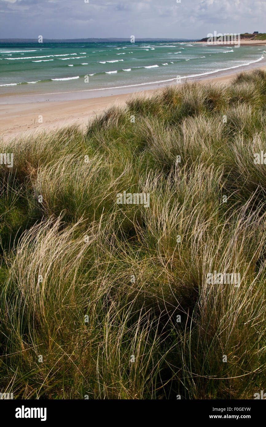 Traigh ghriais beach north east hi-res stock photography and images - Alamy