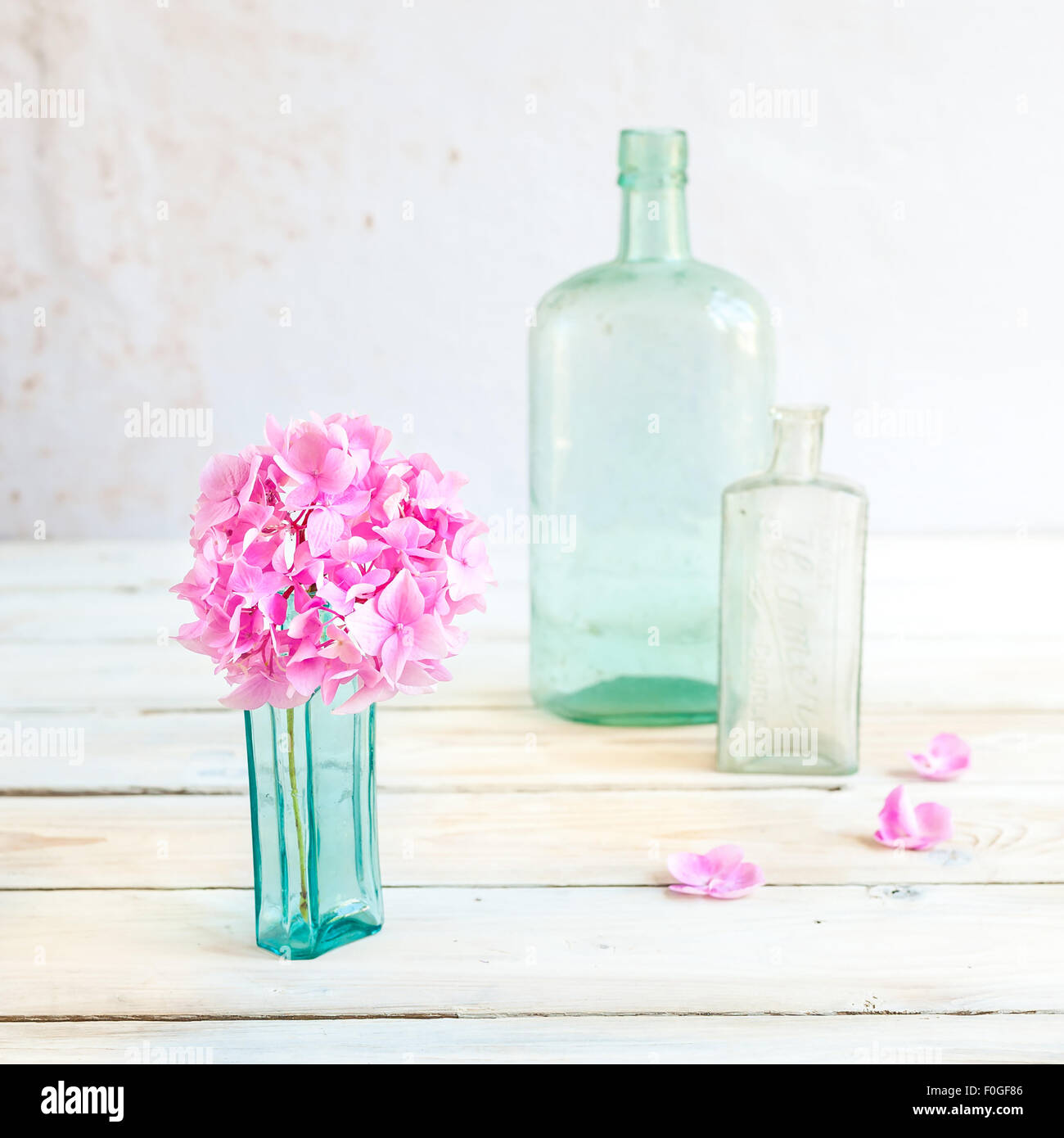 a pink hydrangea flower head in a turquoise vintage glass bottle, with ...