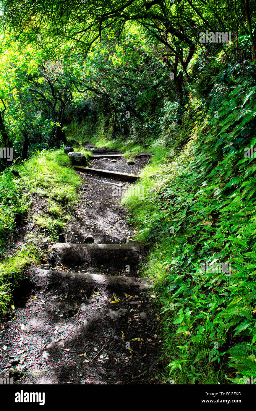 Muddy mountain trail hi-res stock photography and images - Alamy