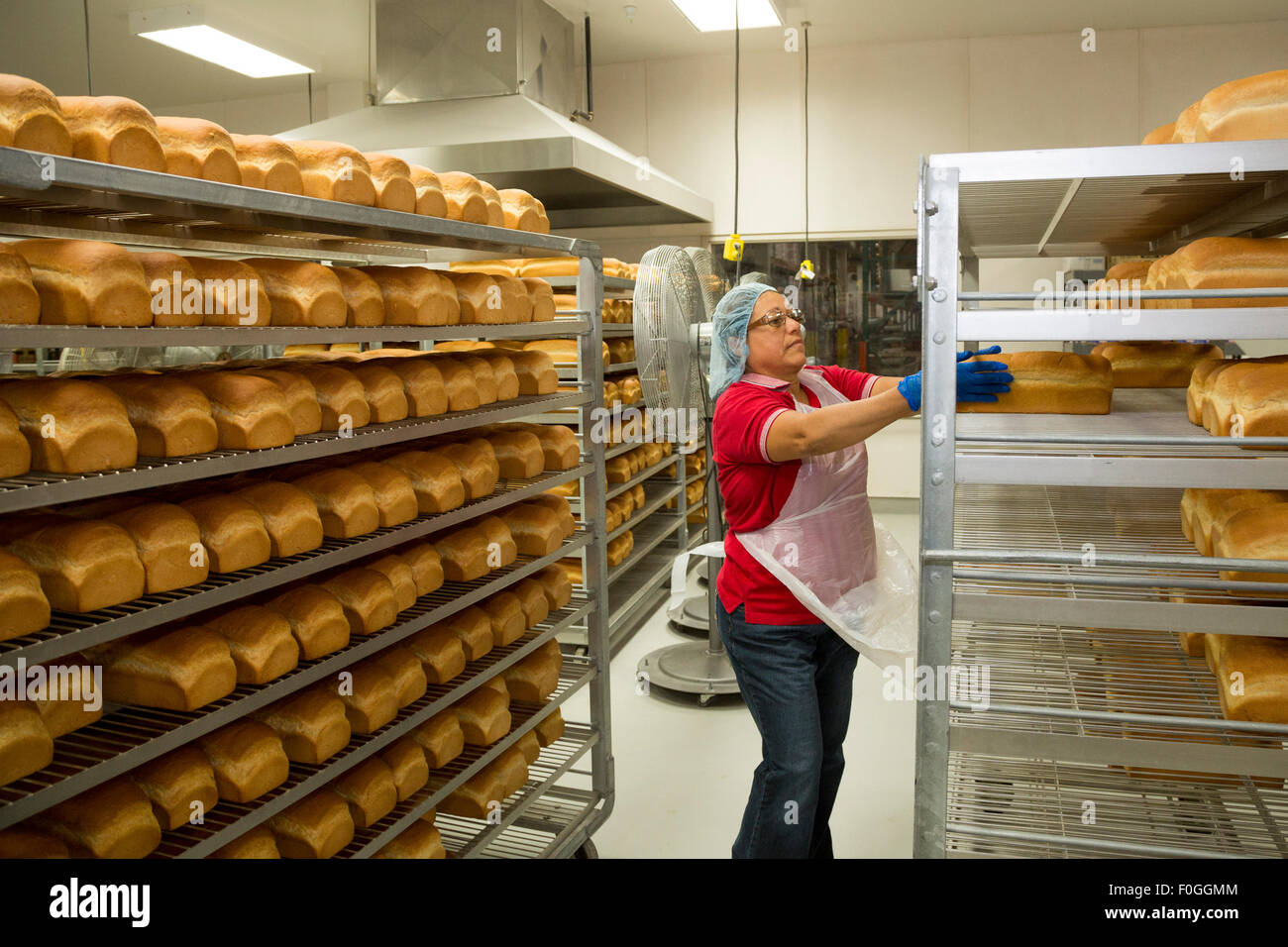 Salt Lake City, Utah - Workers put fresh-baked bread on cooling racks ...