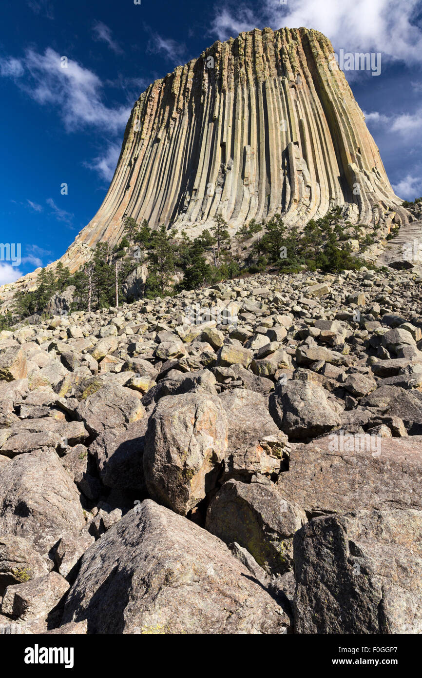 Basalt column of Devils Tower National Monument in Wyoming rising above ...