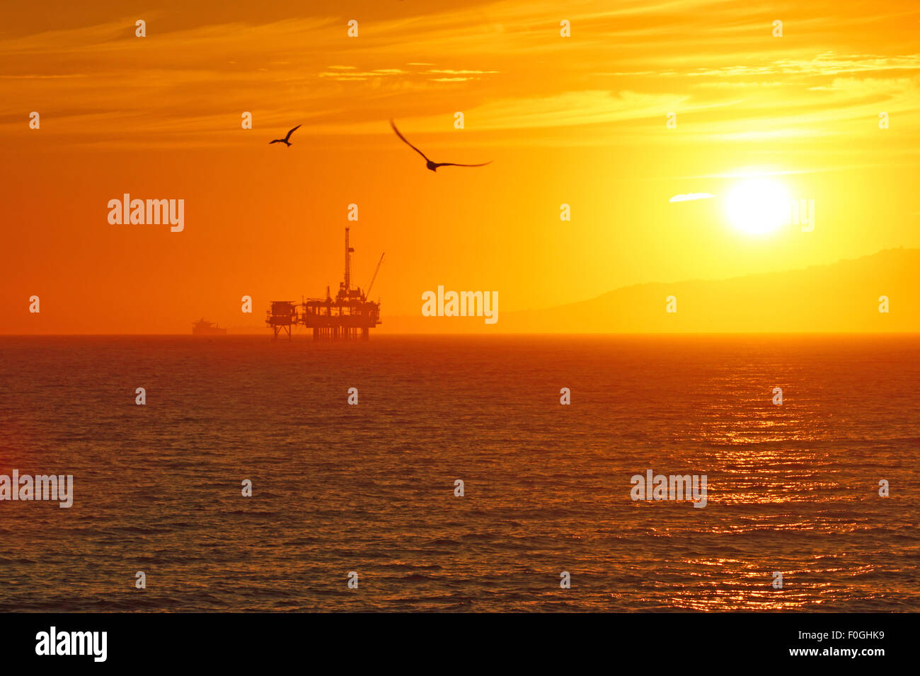 Oil rig sea birds hi-res stock photography and images - Alamy