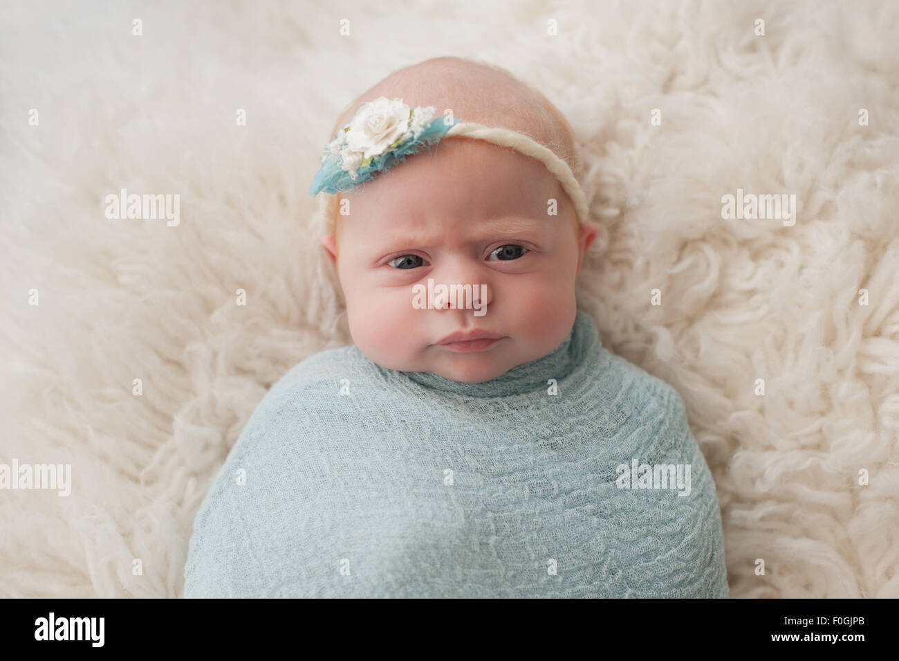 An alert seven week old baby girl with a cute expression. She is ...