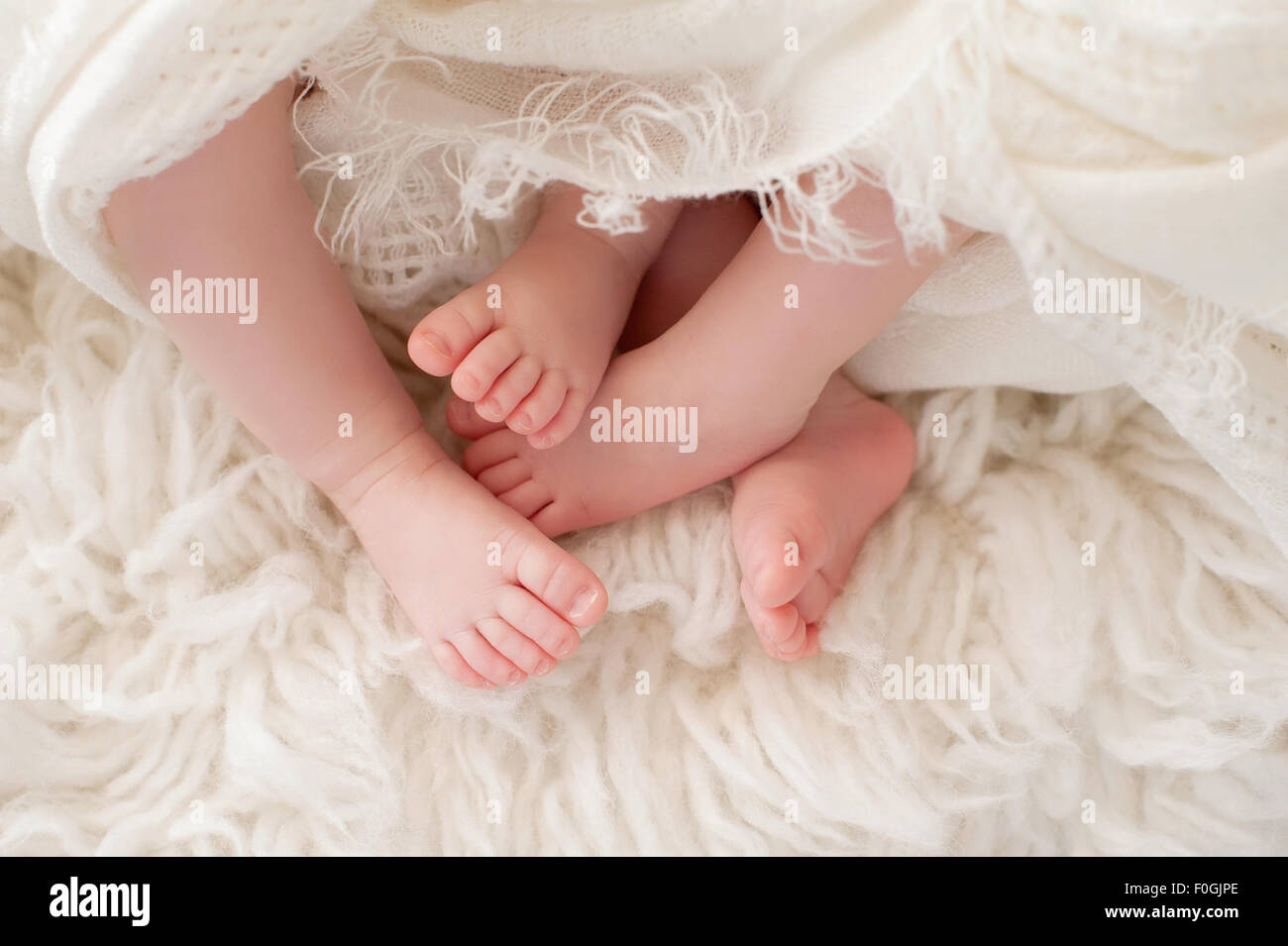 Multiple babies studio hi-res stock photography and images - Alamy