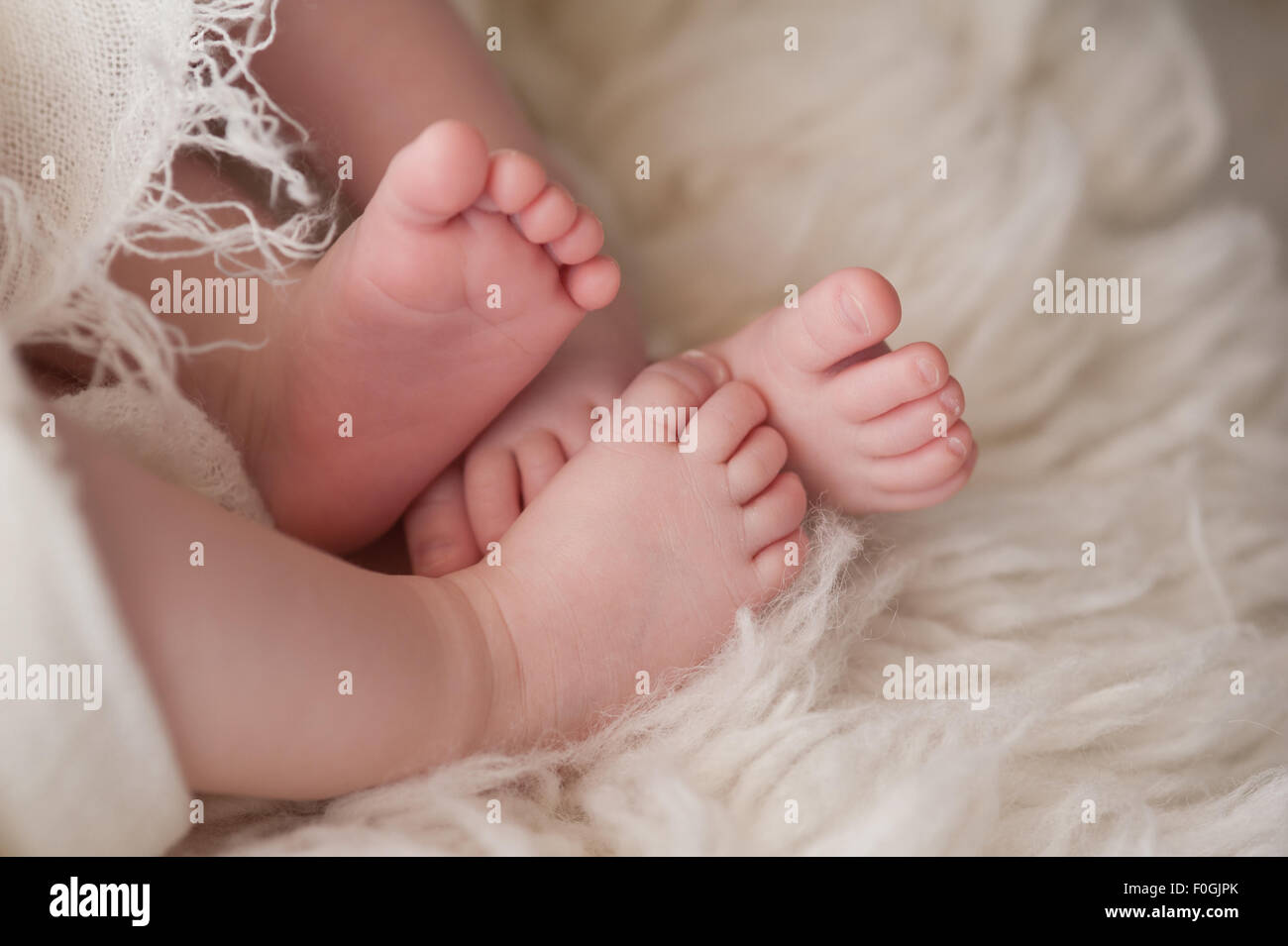 Twin babies feet hi-res stock photography and images - Alamy
