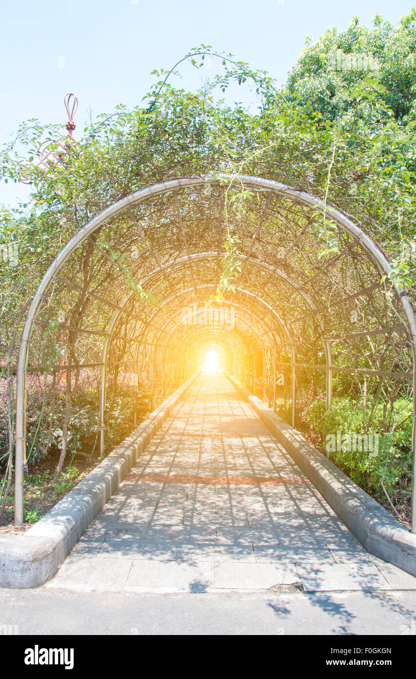 Green corridor hi-res stock photography and images - Alamy