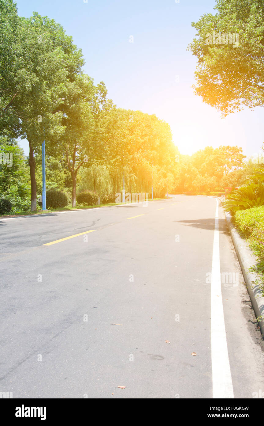 Road tree icon hi-res stock photography and images - Alamy