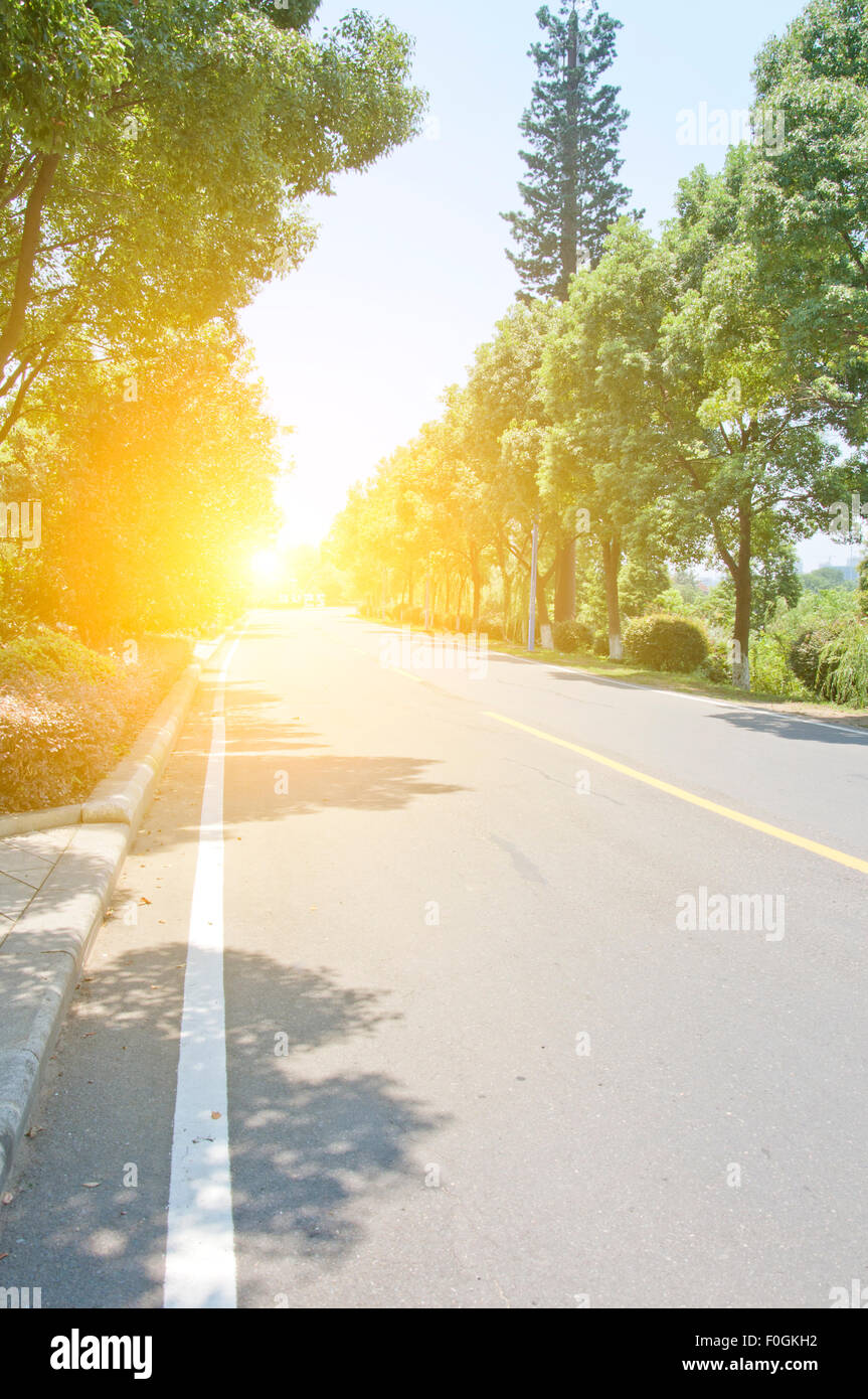 Road tree icon hi-res stock photography and images - Alamy