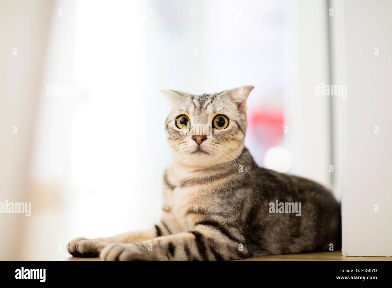 Camera eye view hi-res stock photography and images - Alamy