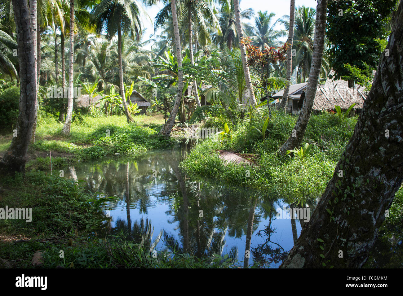 Mentawai Islands, Indonesia Stock Photo - Alamy