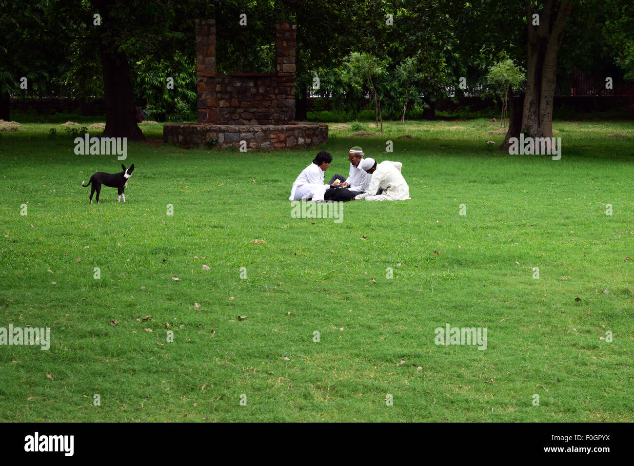 Men relaxing in the beautiful Botanic Garden, Ooty, Tamil Nadu, India ...