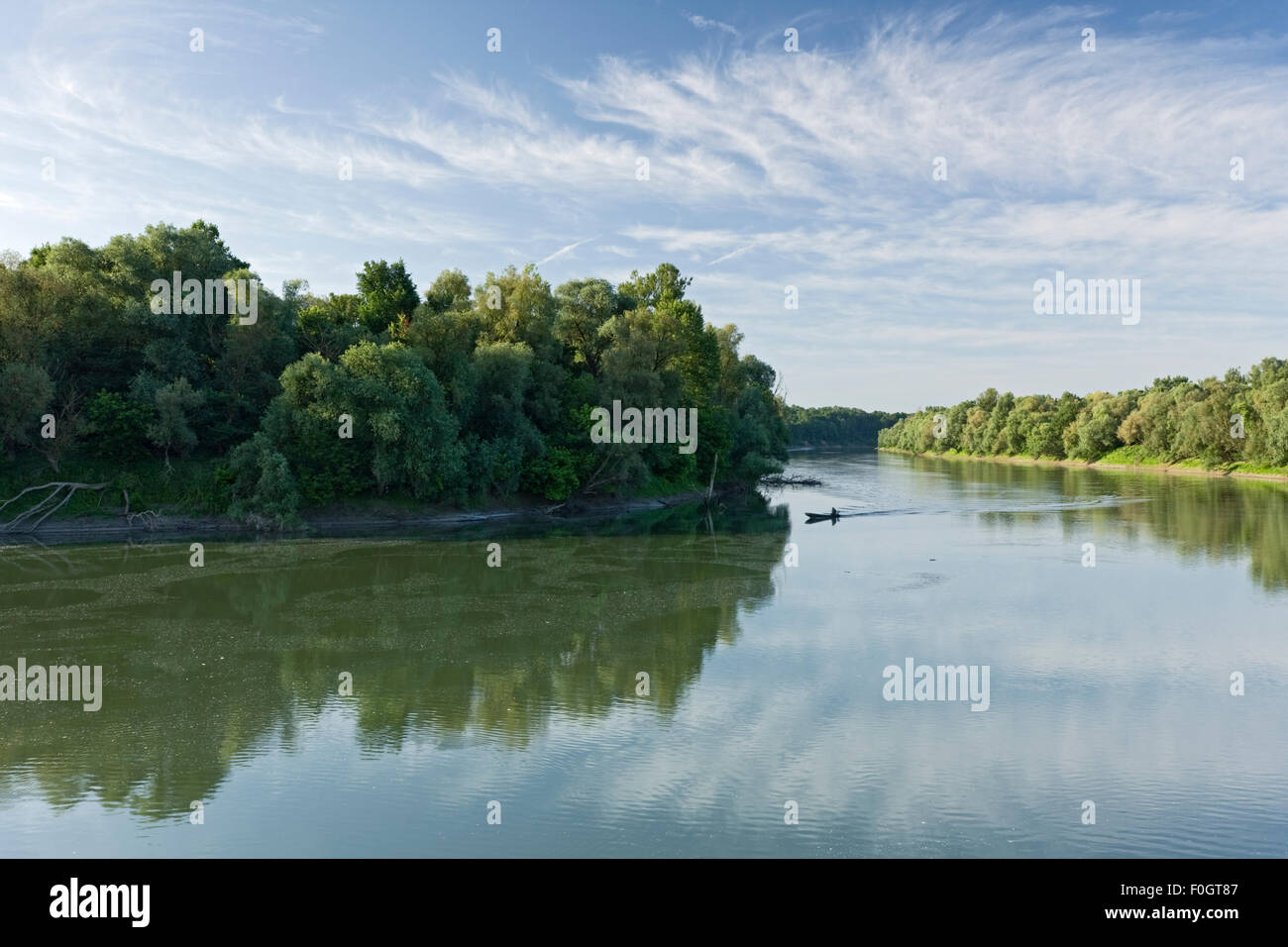 Riparian forest on the opposite river bank of the Sava River, the ...