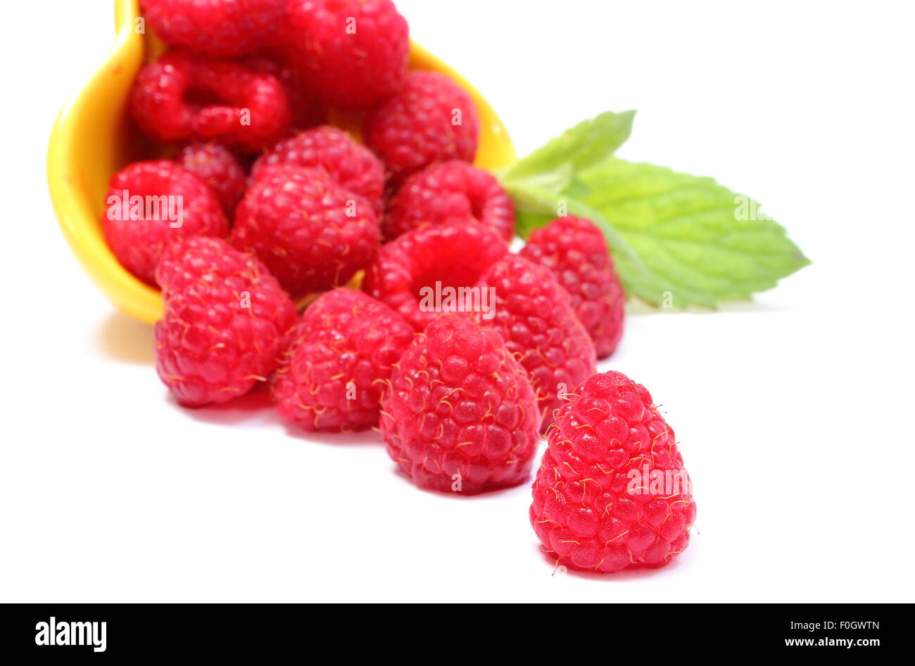 Closeup of fresh raspberries pouring out of yellow bowl. Isolated on ...