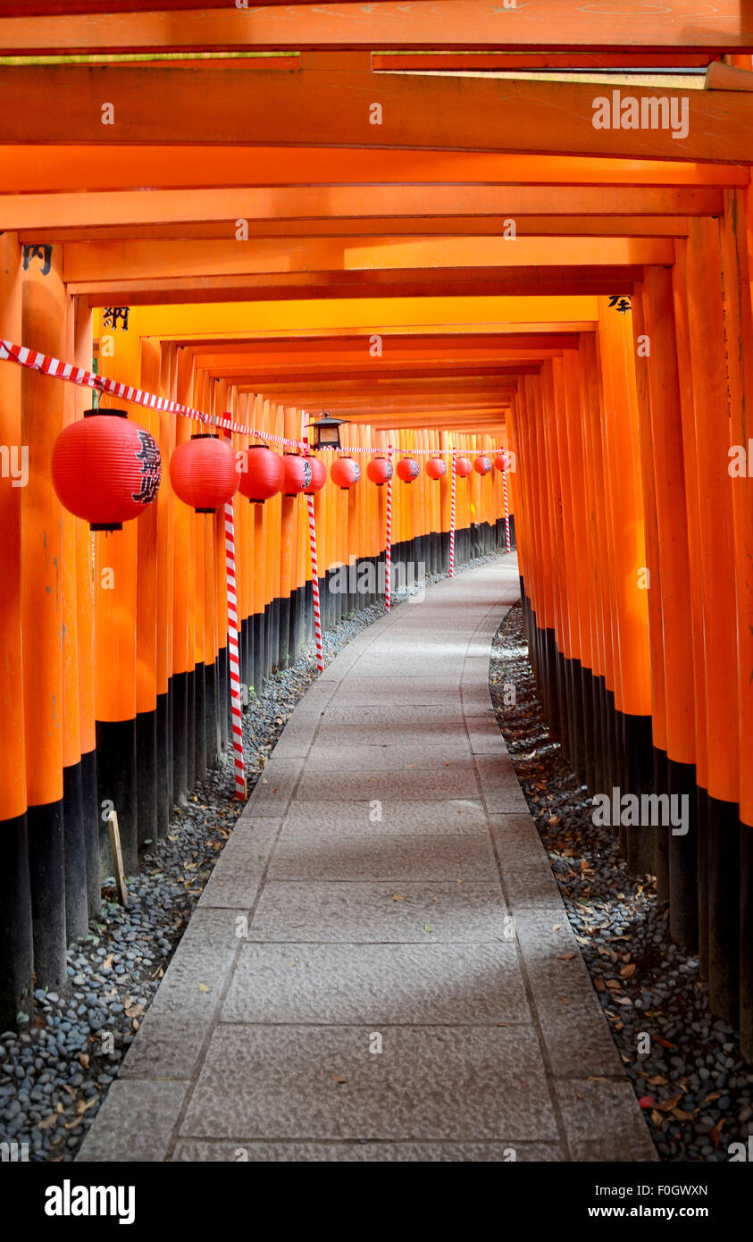 Pathway through red torii hi-res stock photography and images - Alamy