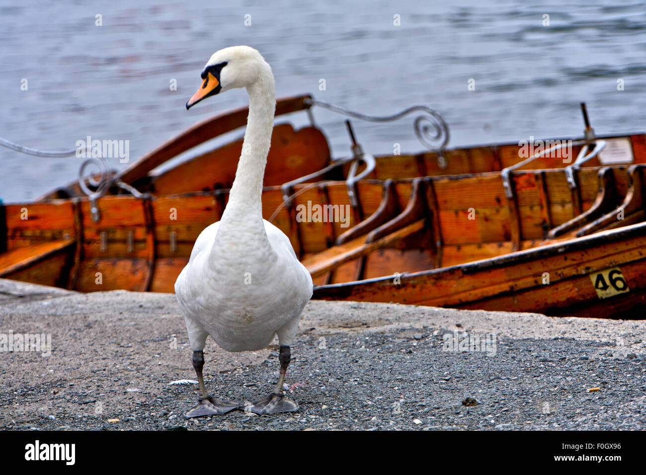 Single rowboats hi-res stock photography and images - Alamy