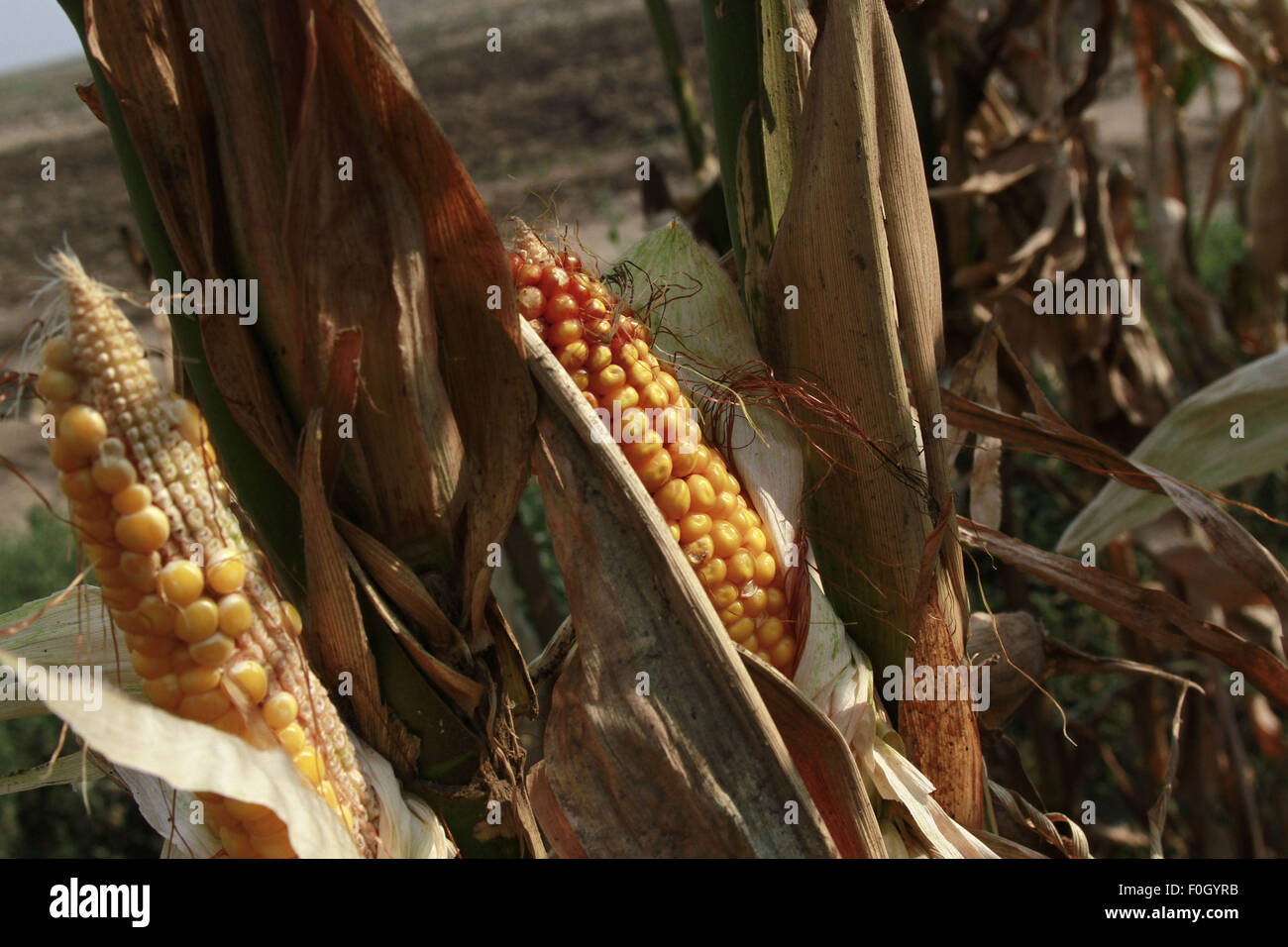 Romania Regions High Resolution Stock Photography and Images - Alamy