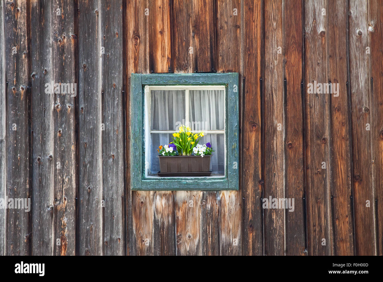 window with flowers on wooden wall background Stock Photo - Alamy
