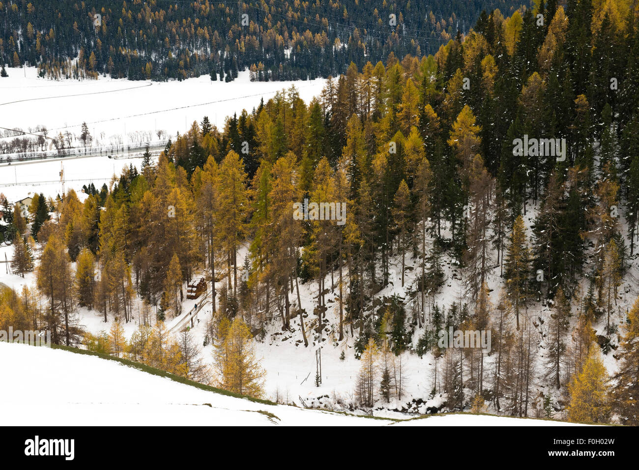 Switzerland, Albula pass Stock Photo - Alamy