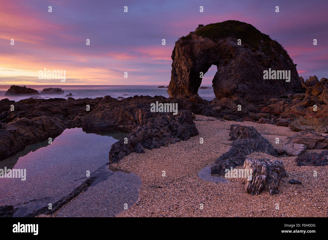 Horsehead Rock near Bermagui, NSW Australia Stock Photo - Alamy
