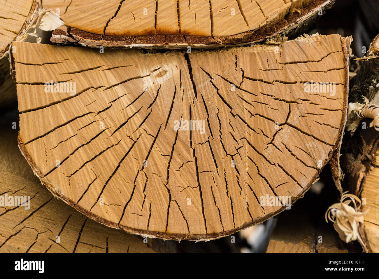 Semi circular part hi-res stock photography and images - Alamy