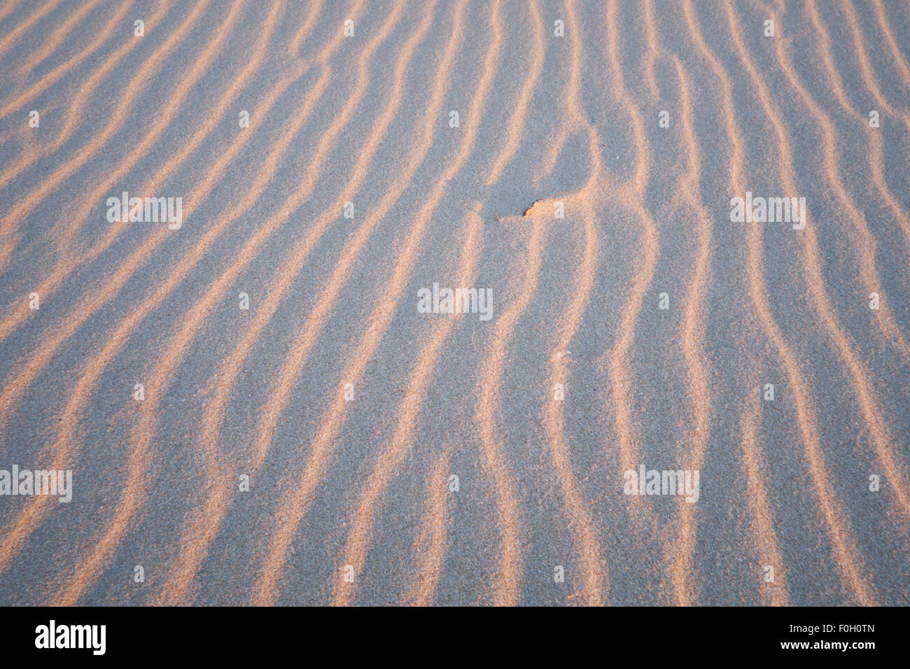 Sand at sunrise hi-res stock photography and images - Alamy