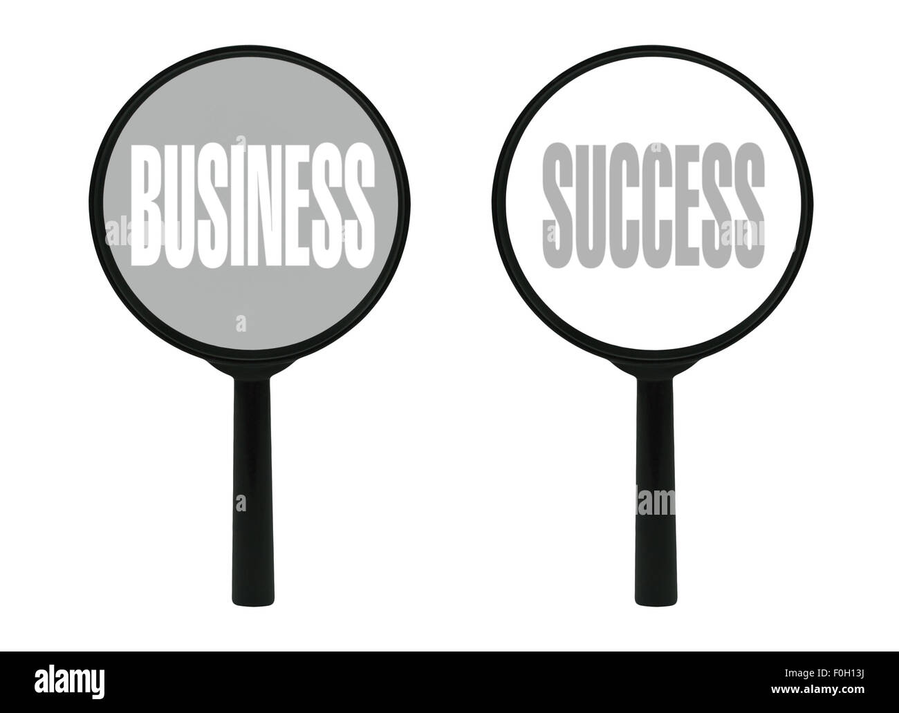 Words Business and Success under a magnifier isolated on white ...