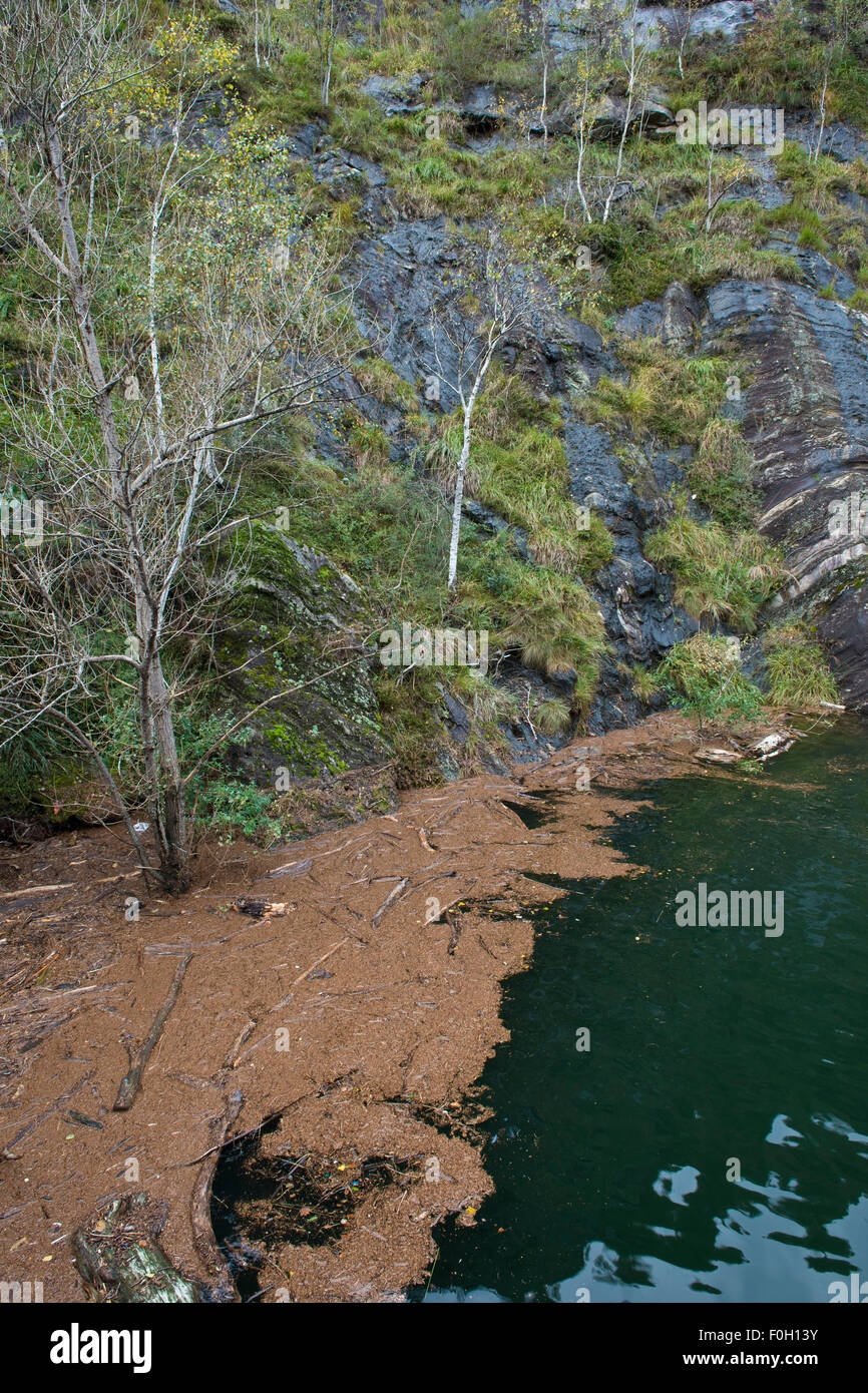 Switzerland, Verzasca dam Stock Photo - Alamy