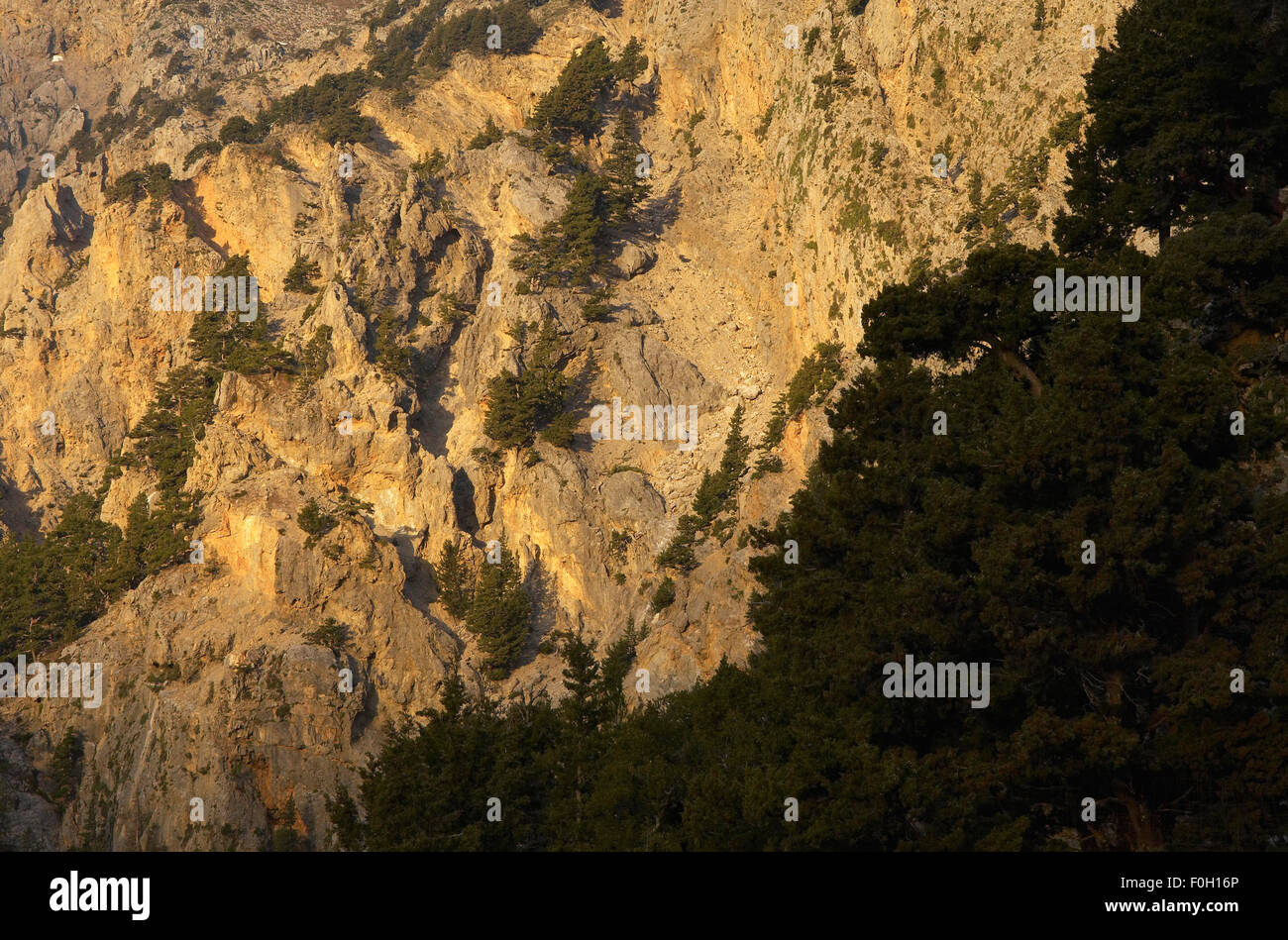 Rock face in the Samaria Gorge, White mountains, Crete, Greece, April ...