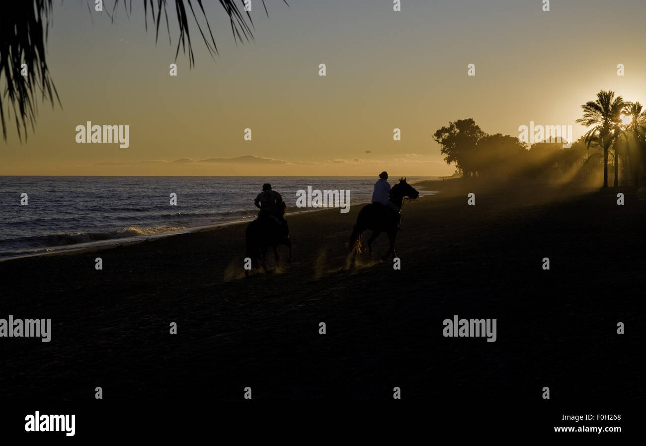 Riding horses at sunset hi-res stock photography and images - Alamy