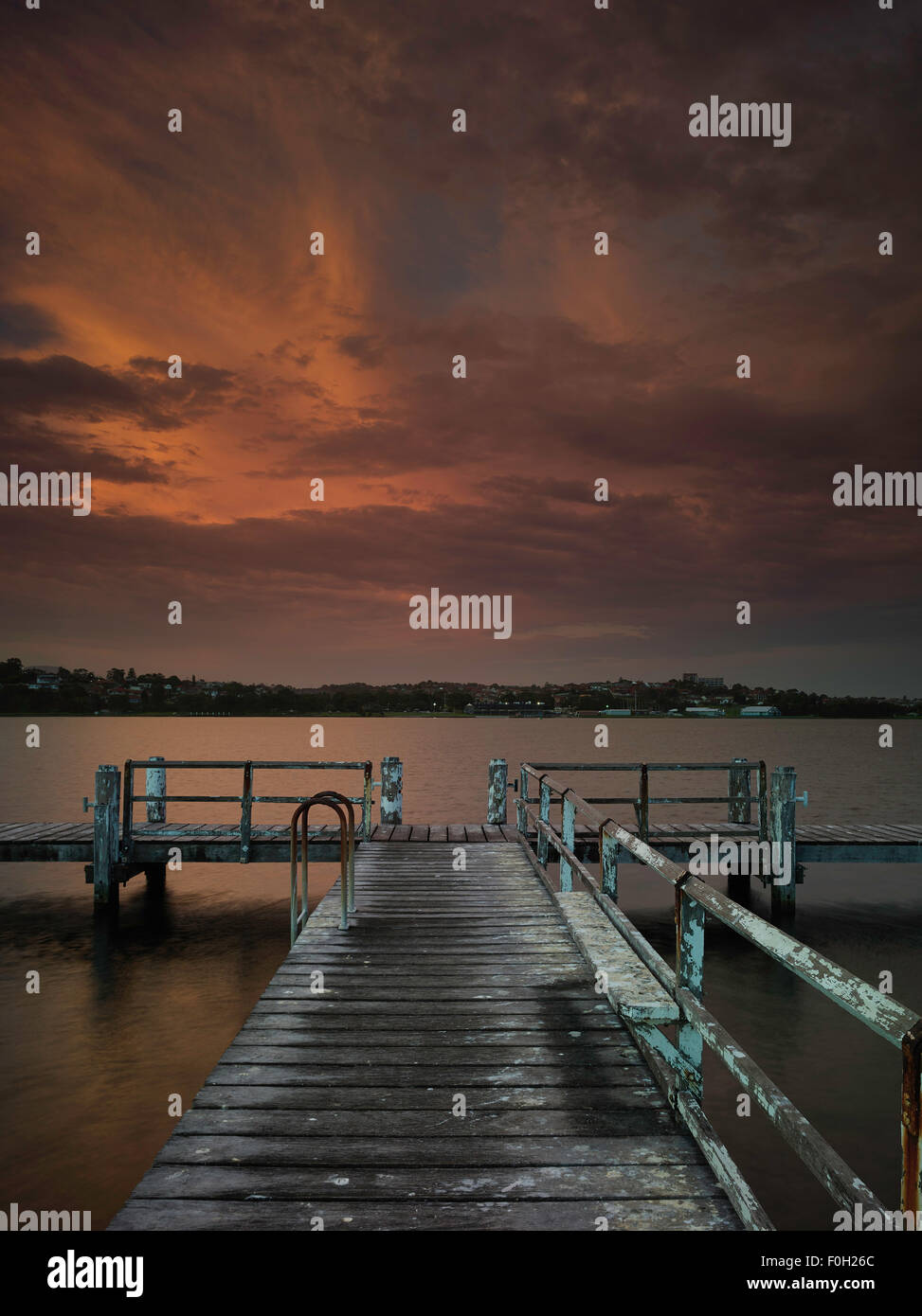 Primbee hi-res stock photography and images - Alamy