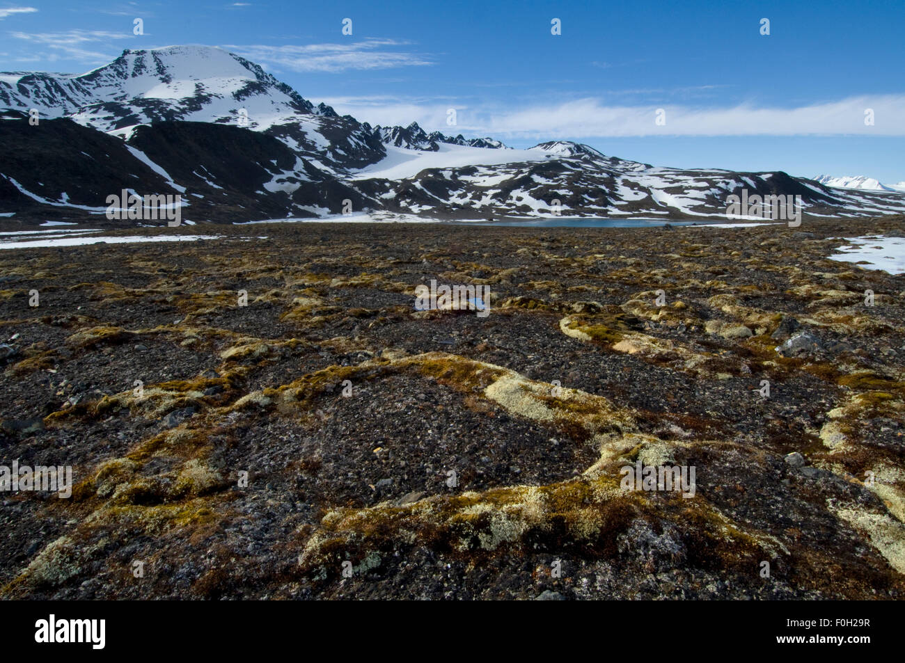 Polygons, permafrost ground, Signehamna, Svalbard, Norway, June 2008 ...