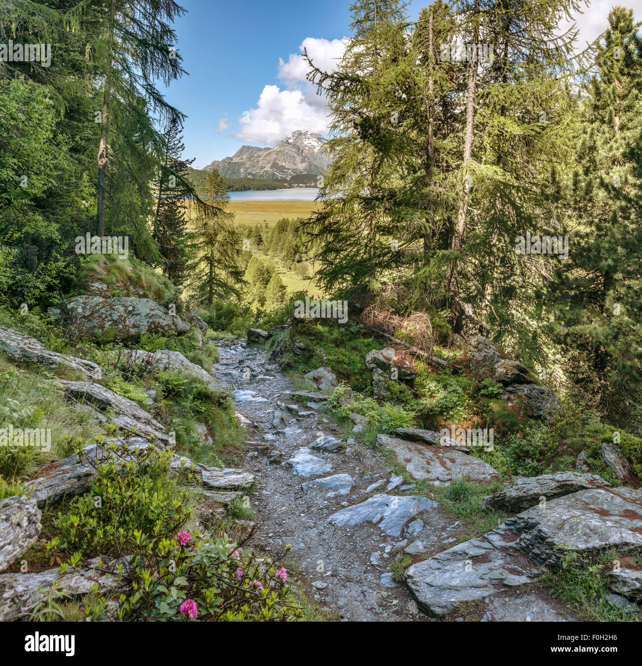 Silser lake silsersee lake sils hi-res stock photography and images - Alamy