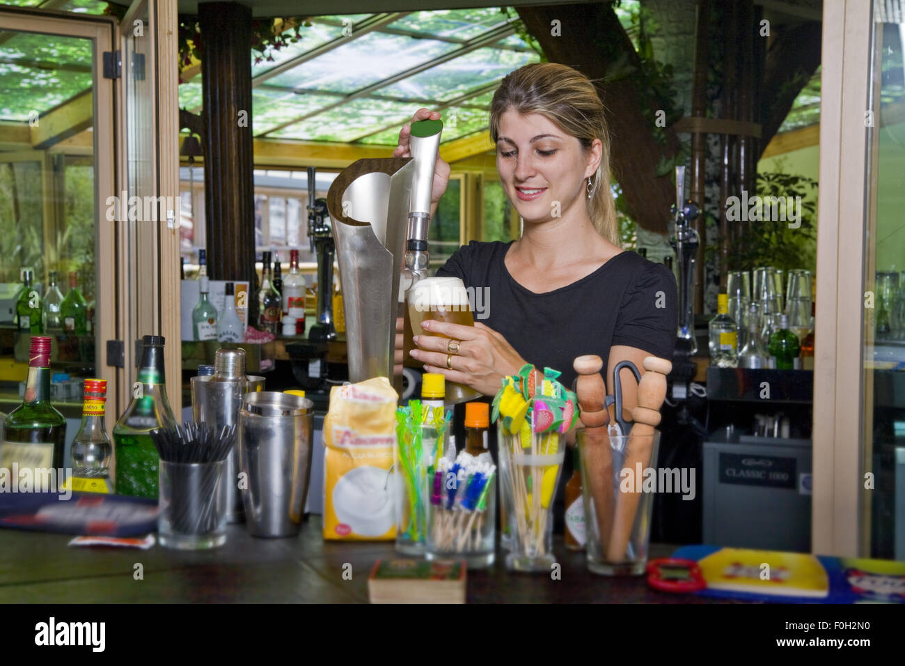 young woman pulls a pint Stock Photo - Alamy