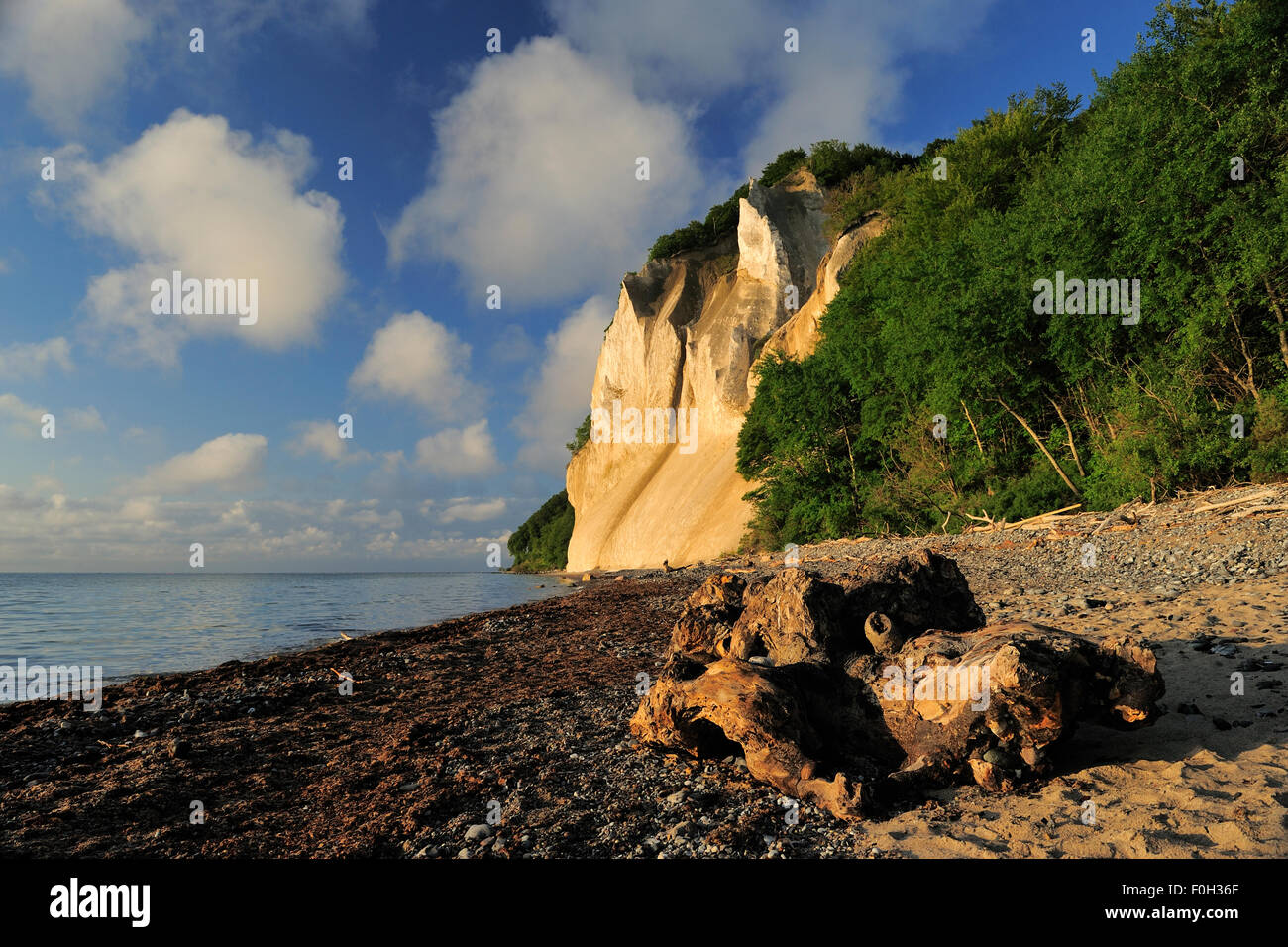 Mon Denmark Cliff High Resolution Stock Photography and Images - Alamy
