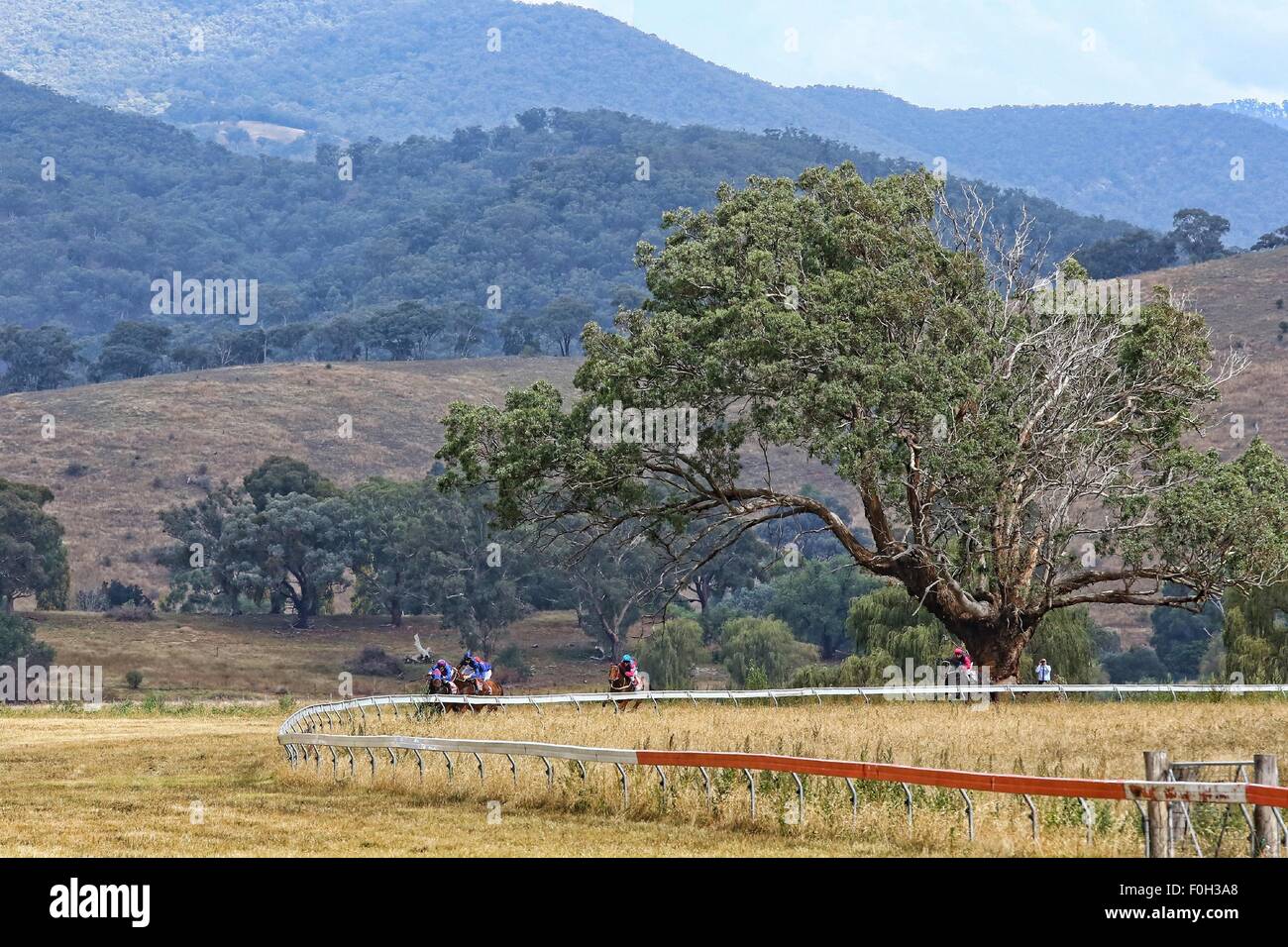 On the home turn into the straight at the Tambo Valley picnic races at ...