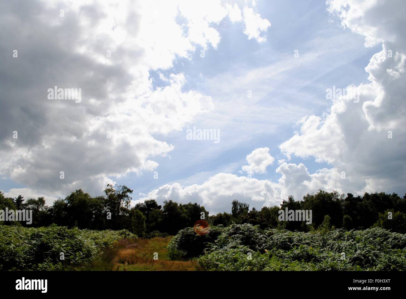 Silver lined clouds at Wych Cross, Ashdown Forest, East Sussex Stock ...
