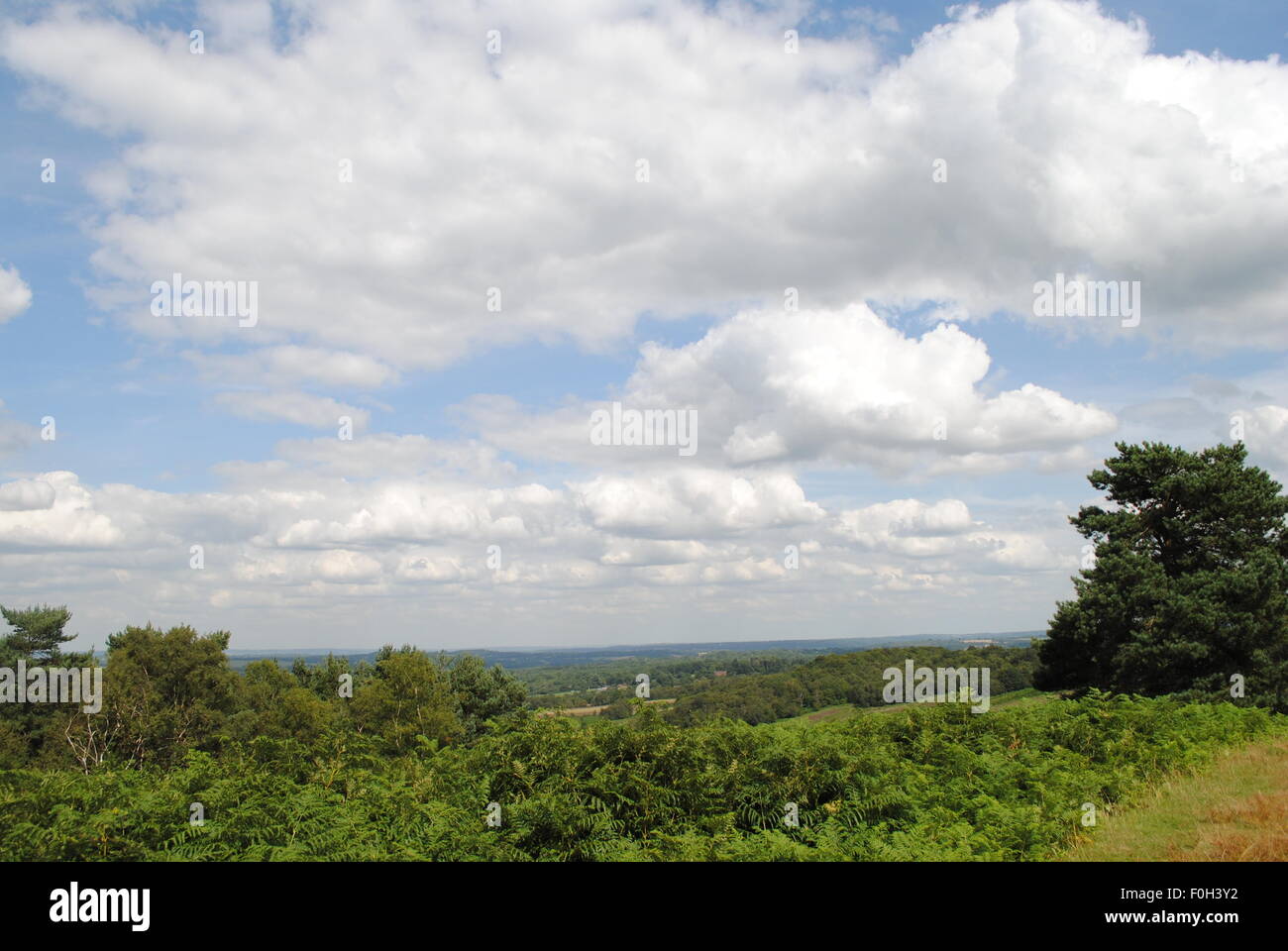 Wych cross hi-res stock photography and images - Alamy