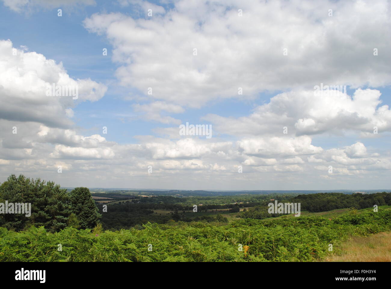 Wych cross hi-res stock photography and images - Alamy