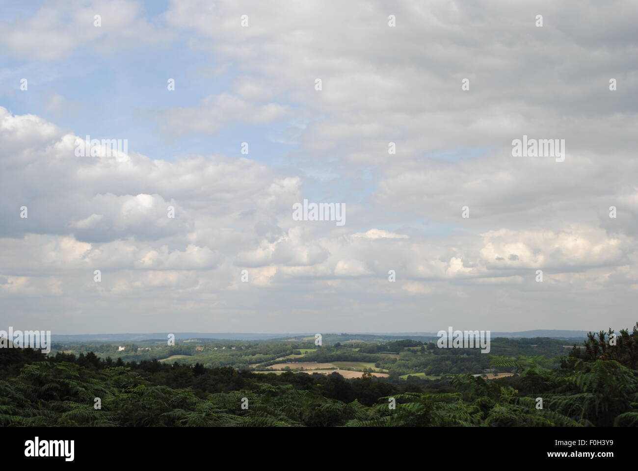 Wych cross hi-res stock photography and images - Alamy