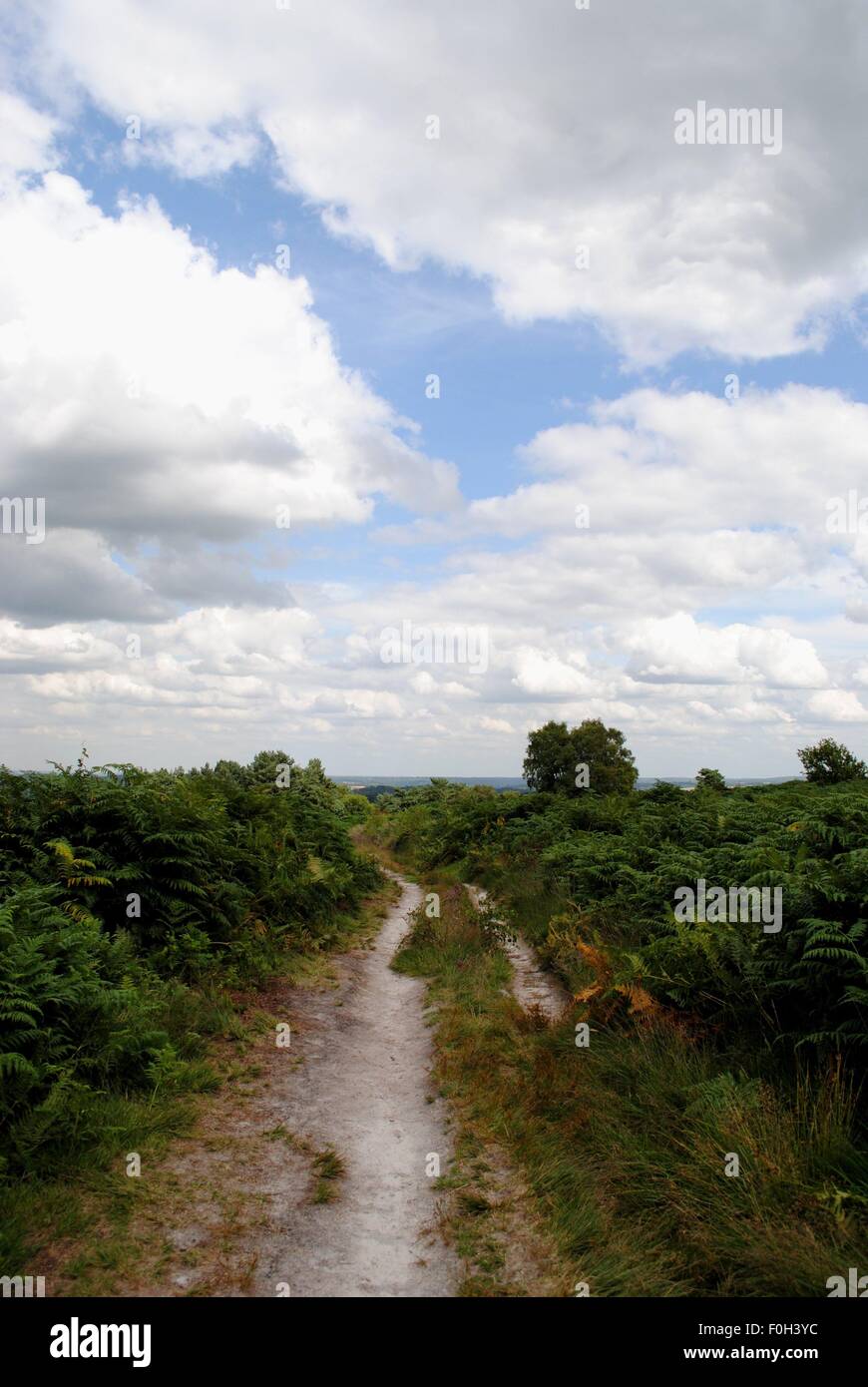 Wych cross hi-res stock photography and images - Alamy