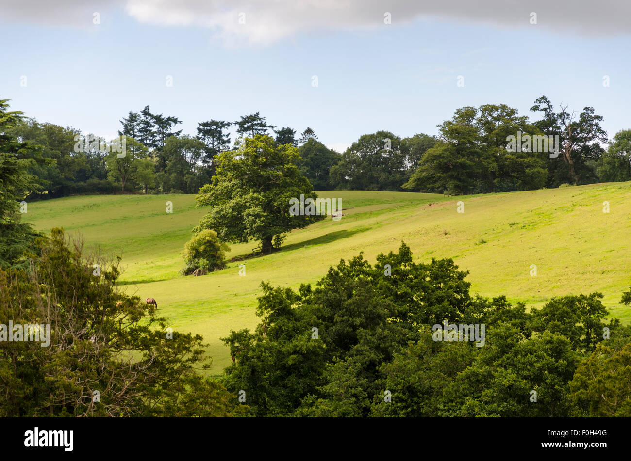 Landscape, East Devon Stock Photo - Alamy