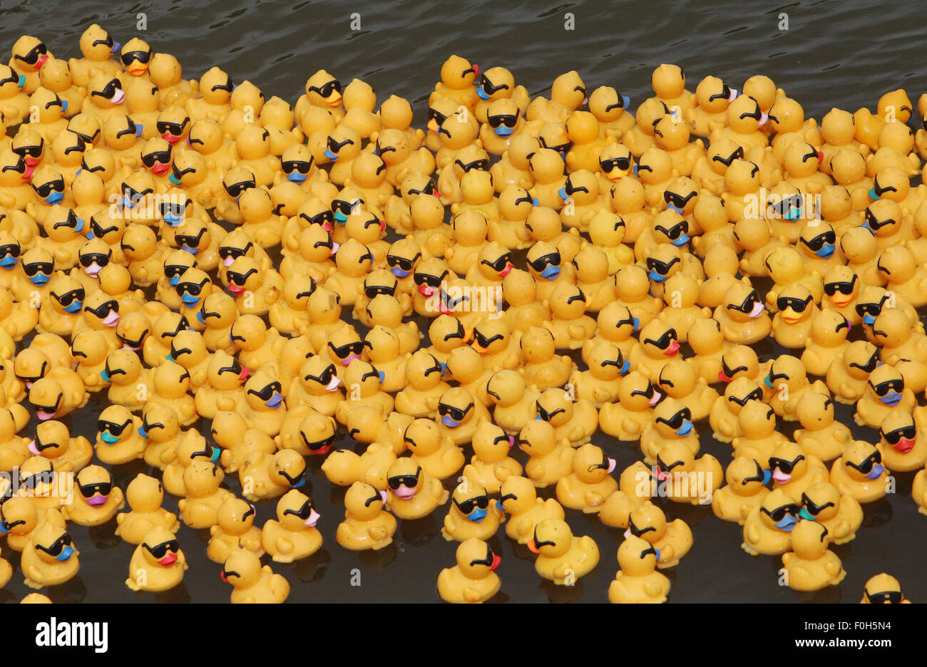 Rubber duck race germany hi-res stock photography and images - Alamy