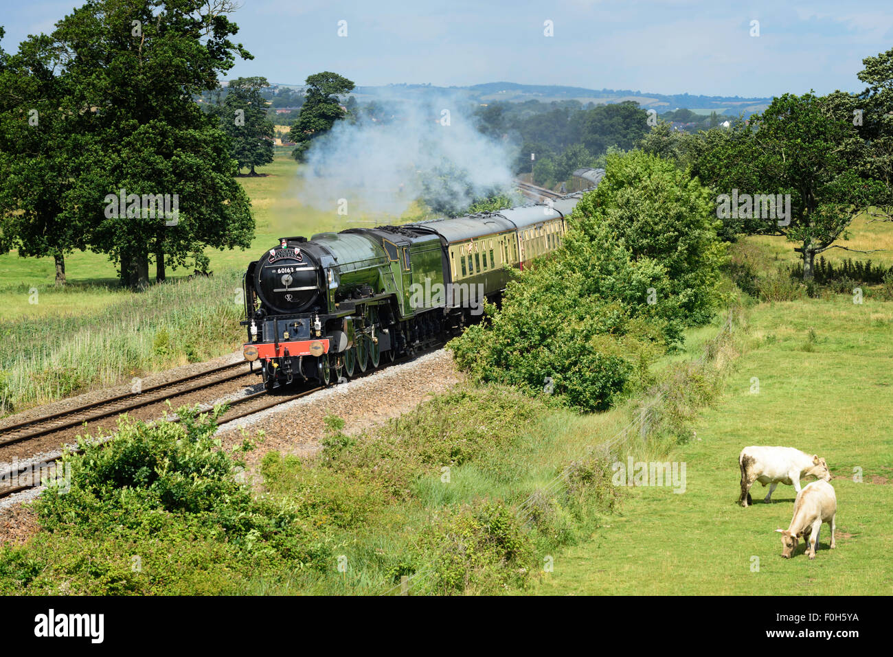 He torbay express hi-res stock photography and images - Alamy