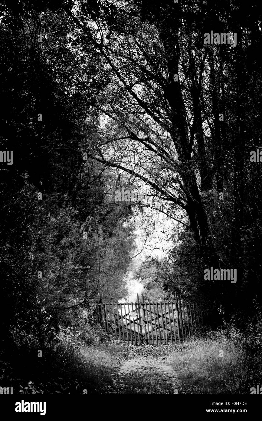 Geographical landscape Black and White Stock Photos & Images - Alamy