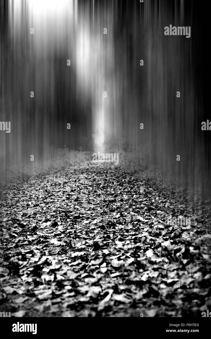 Geographical landscape Black and White Stock Photos & Images - Alamy