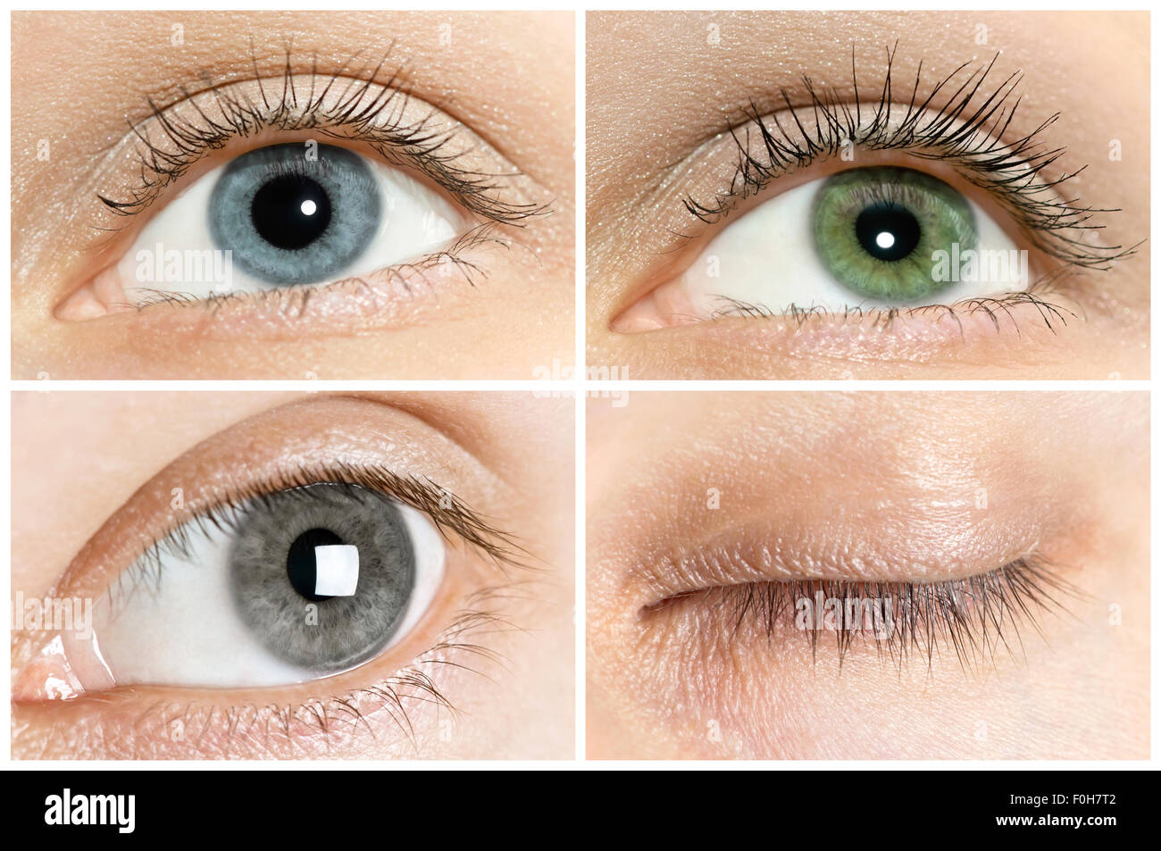 Eye collection hi-res stock photography and images - Alamy