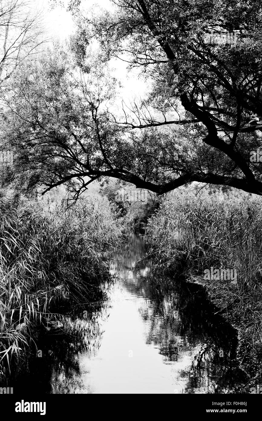 Geographical landscape Black and White Stock Photos & Images - Alamy