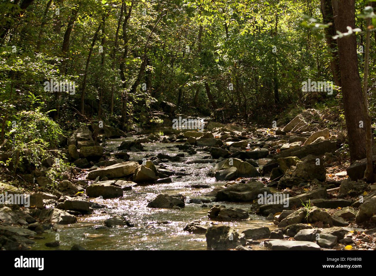 Stream Through Woods High Resolution Stock Photography and Images - Alamy